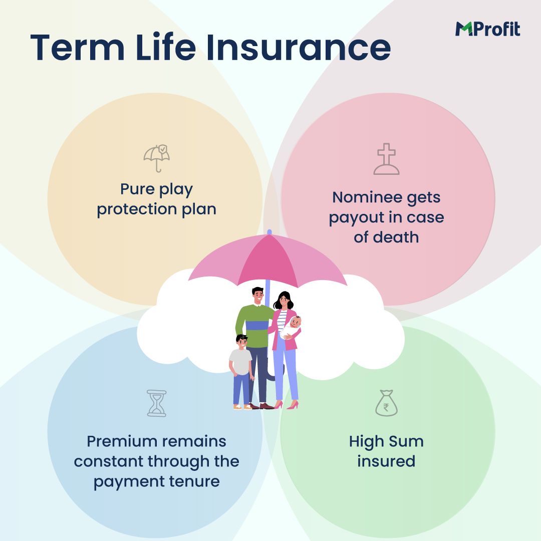 Insurance Analyser Series – Episode 6 – Term Life Insurance | MProfit
